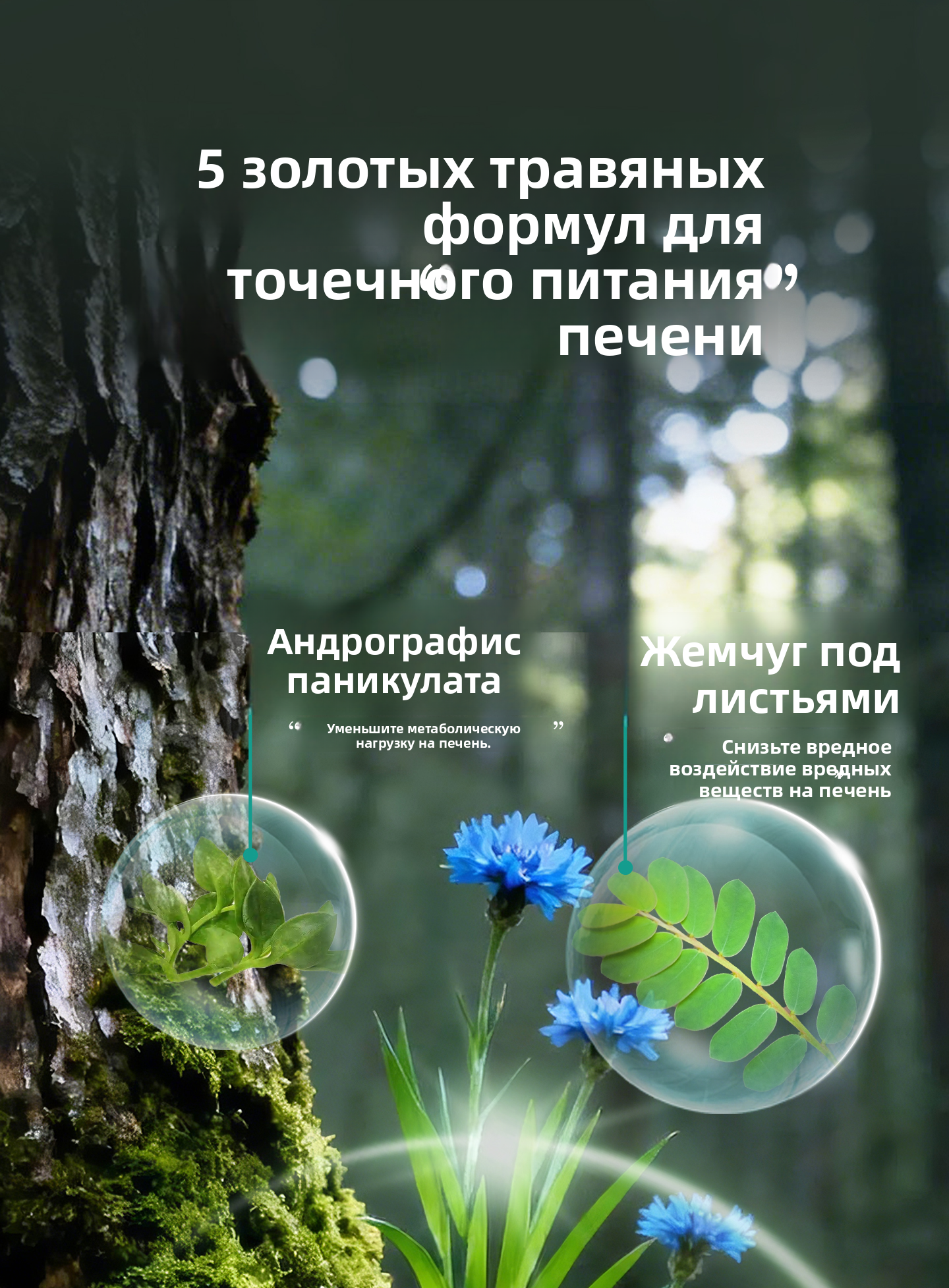 Таблетки для печени Himalaya Liv.52GNX от похмелья и ночевок, поддерживающие печень, не содержащие силимарина и лепidium meyenii