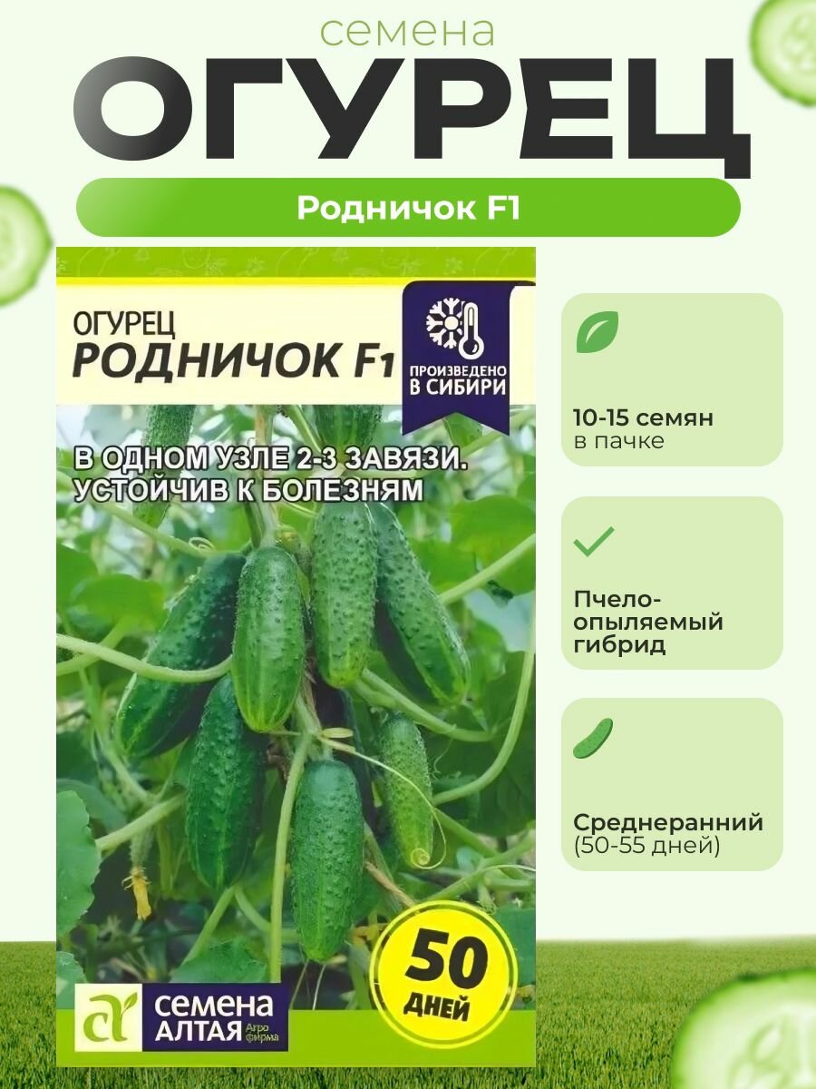 Семена огурцов Родничок F1 раннеспелый гибрид, для дома, сада и огорода