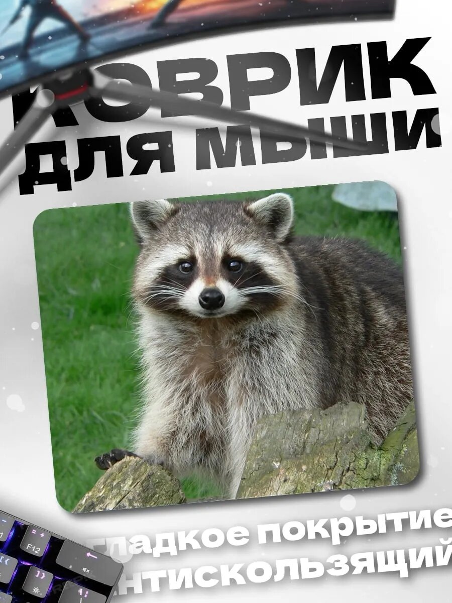 Коврик для мыши Енот на траве