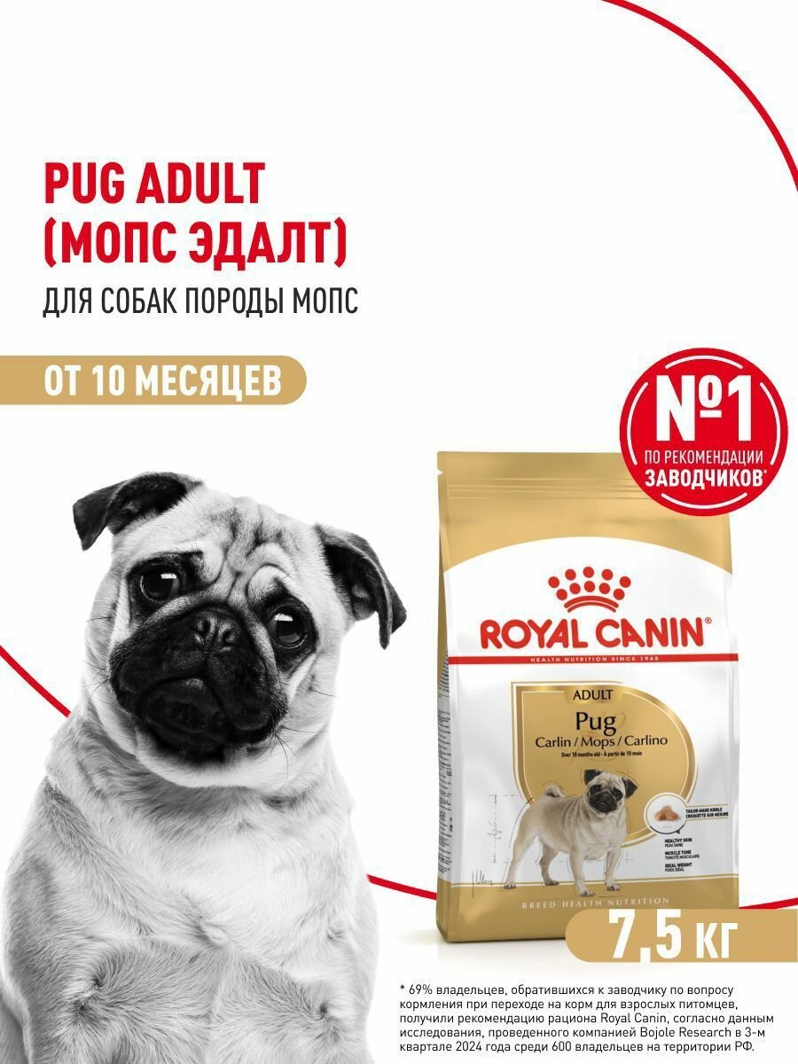 Сухой корм для собак Royal Canin Adult для породы мопс, 7,5 кг