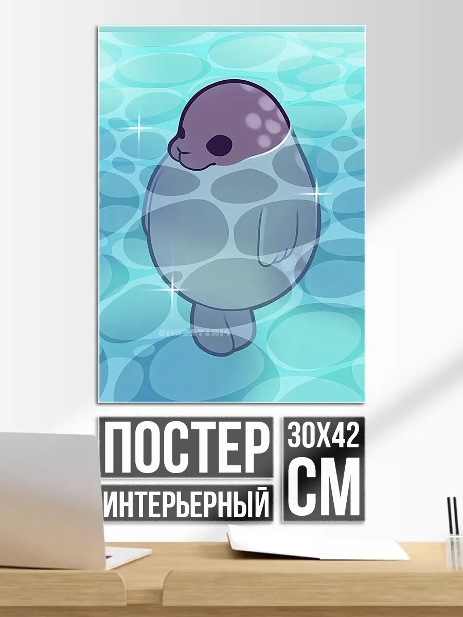Плакат постер Милый тюлень в воде