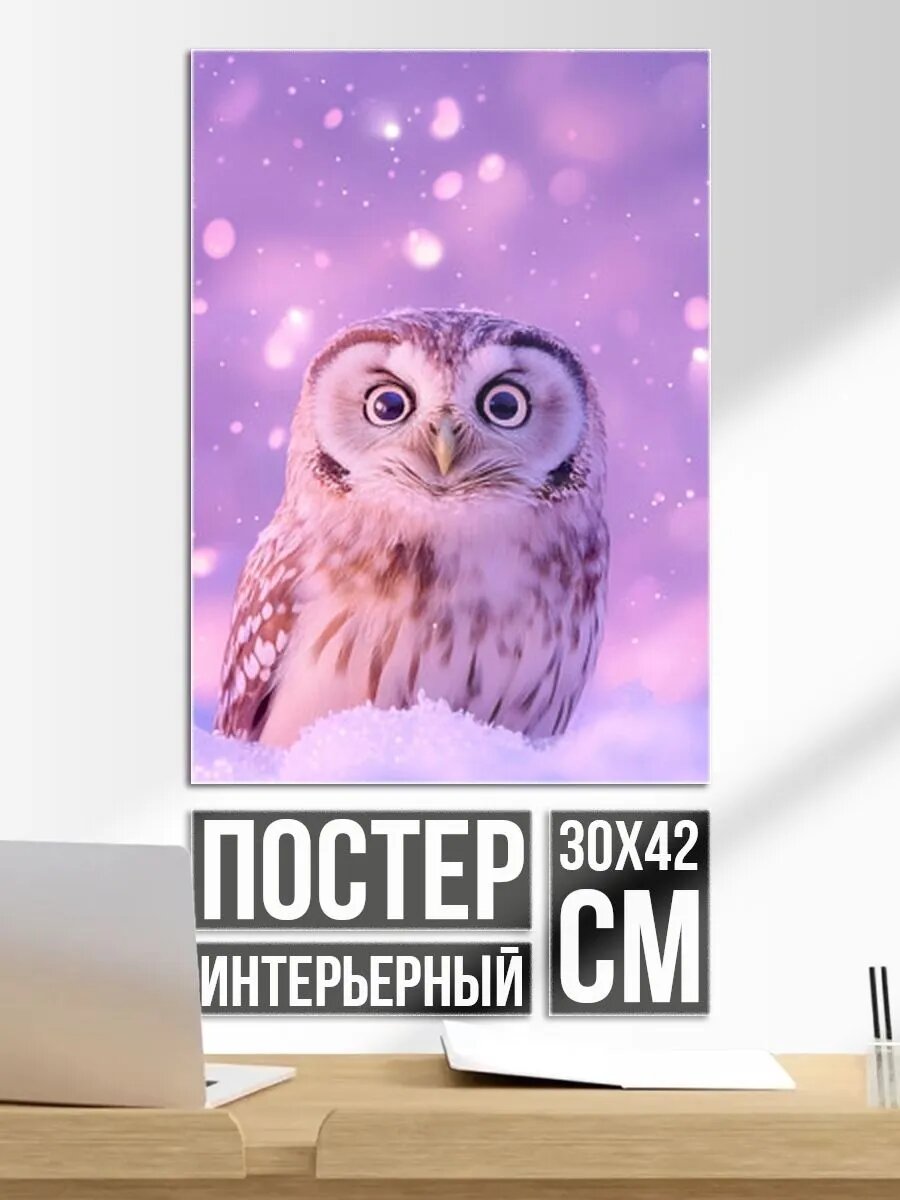 Постер на стену Удивленная сова
