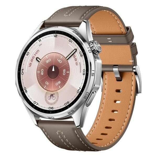 Смарт-часы HUAWEI Watch GT 6 46mm Gray (55020FWE)