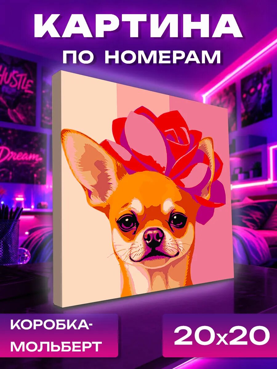 Картина по номерам маленькая Чихуахуа