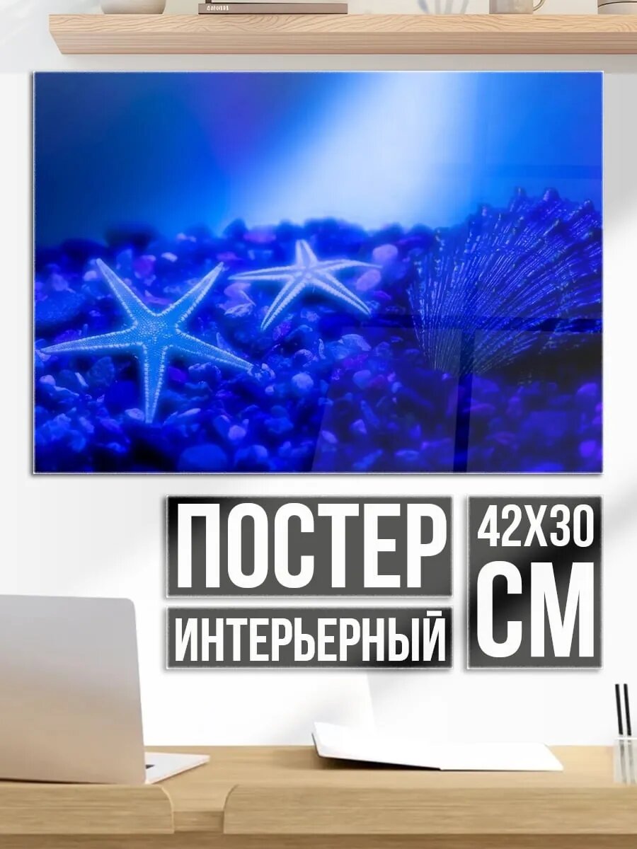 Плакат постер морские звёзды сияние