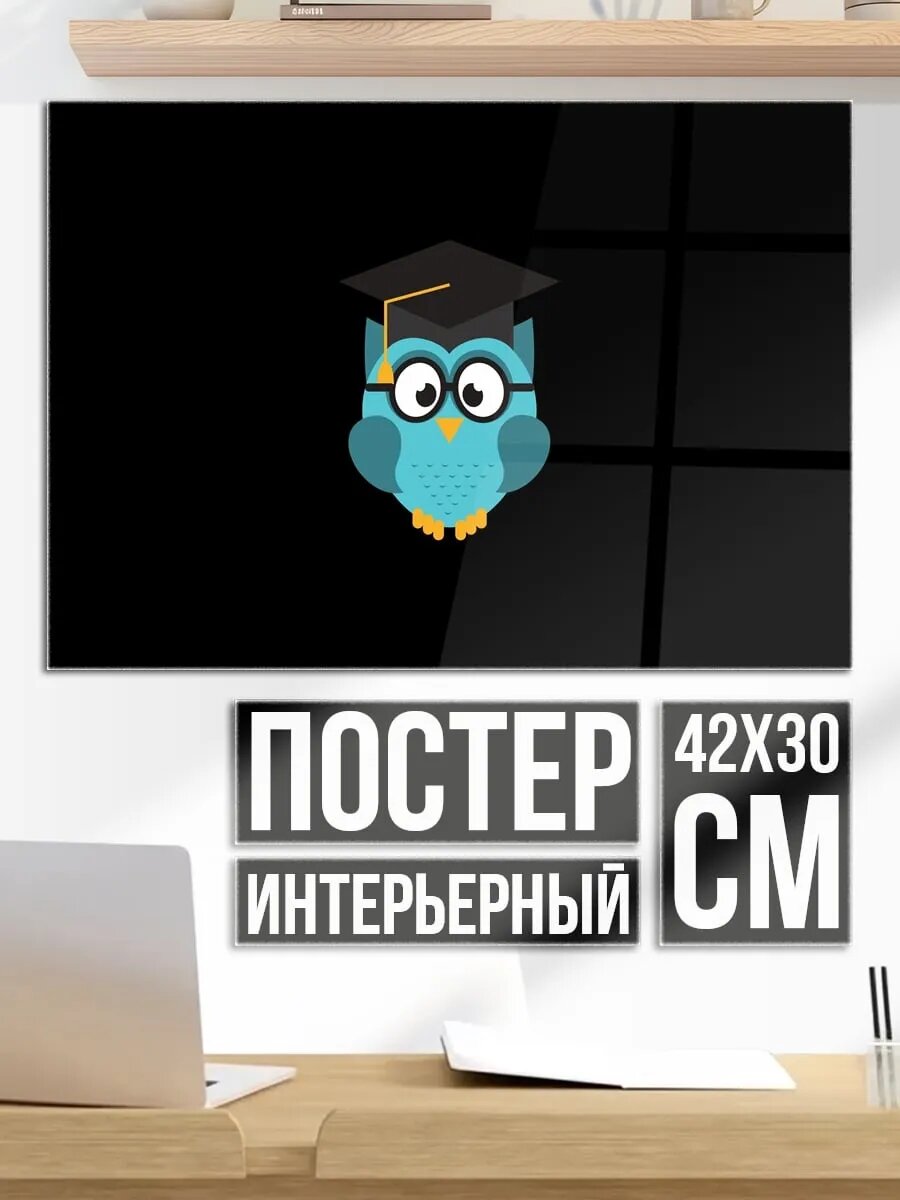 Плакат постер Мудрая сова в шляпе