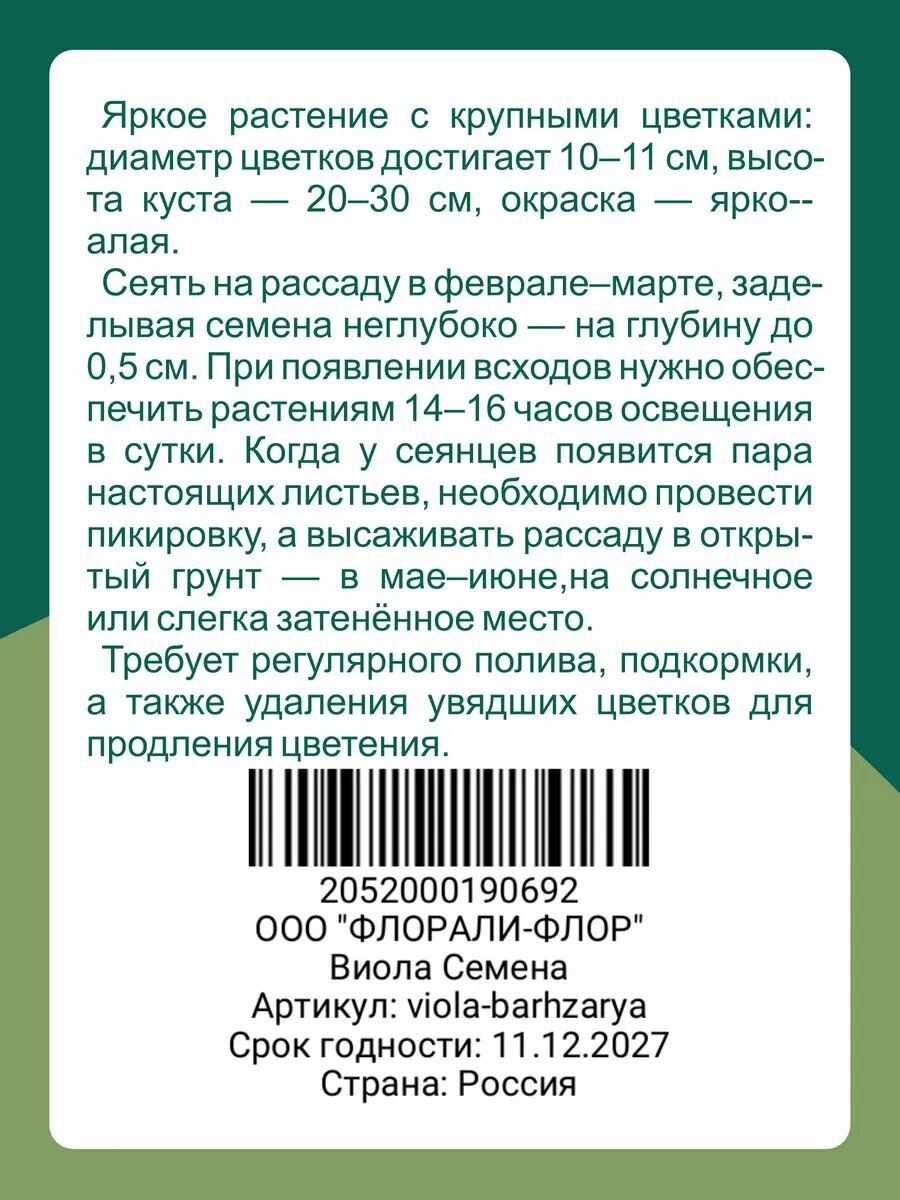 Виола Семена — фото 1