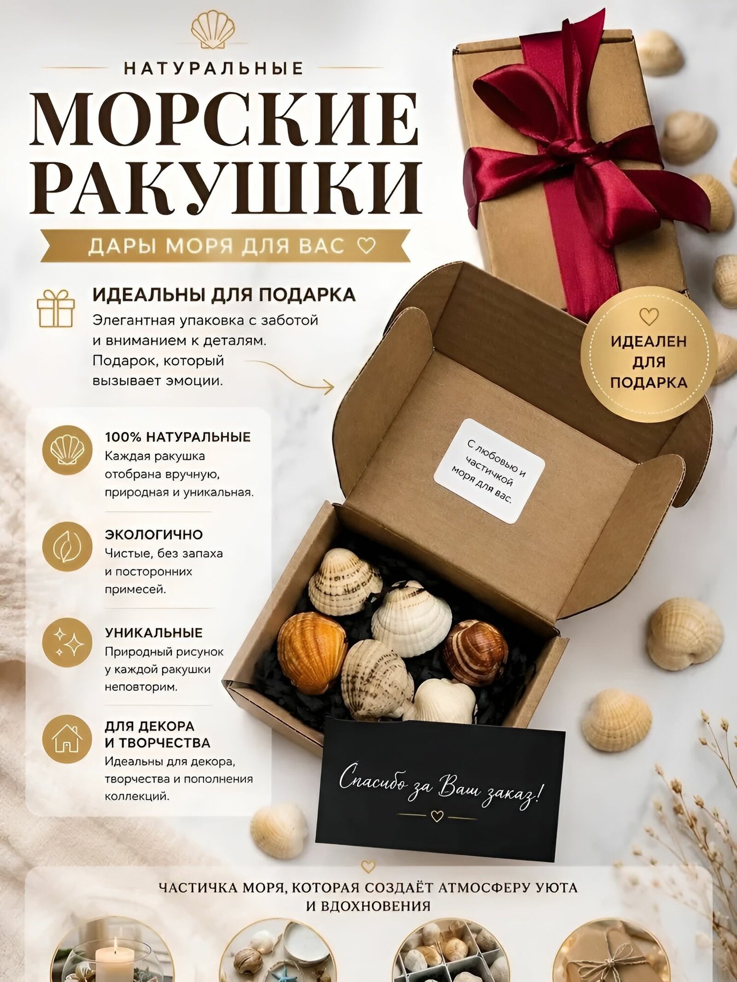 Морские ракушки натуральные в подарочной упаковке для декора и творчества