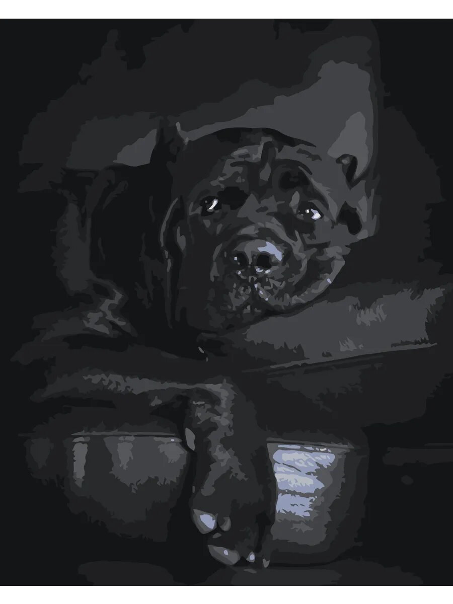 Картина по номерам Черная Кане-Корсо Собака Животное