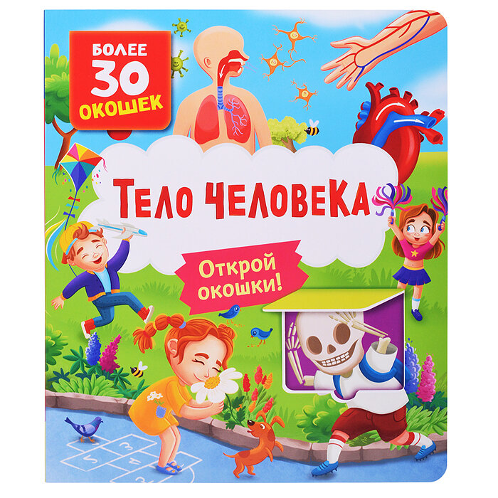 Книги с окошками. Тело человека