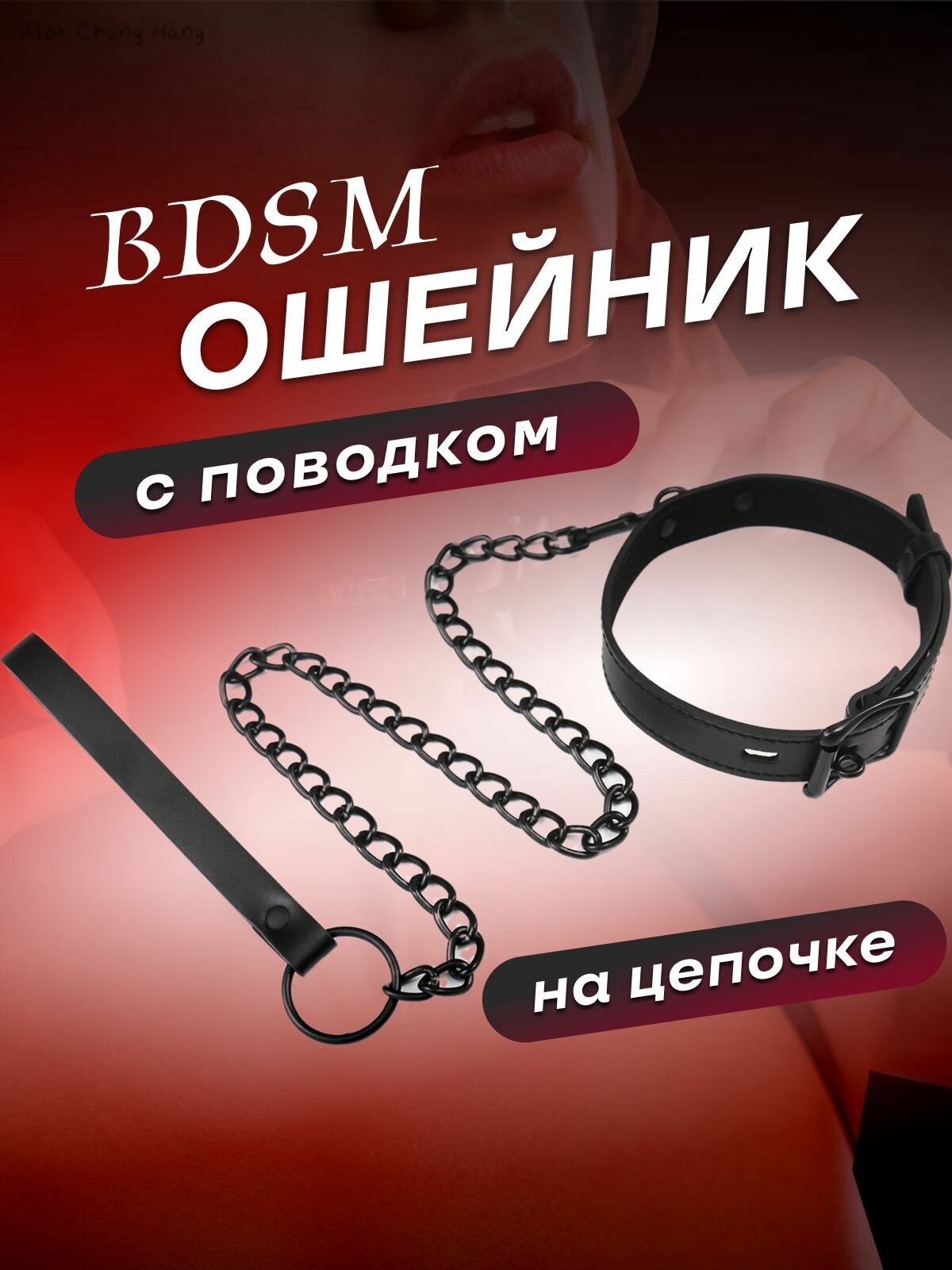 Ошейник БДСМ с поводком
