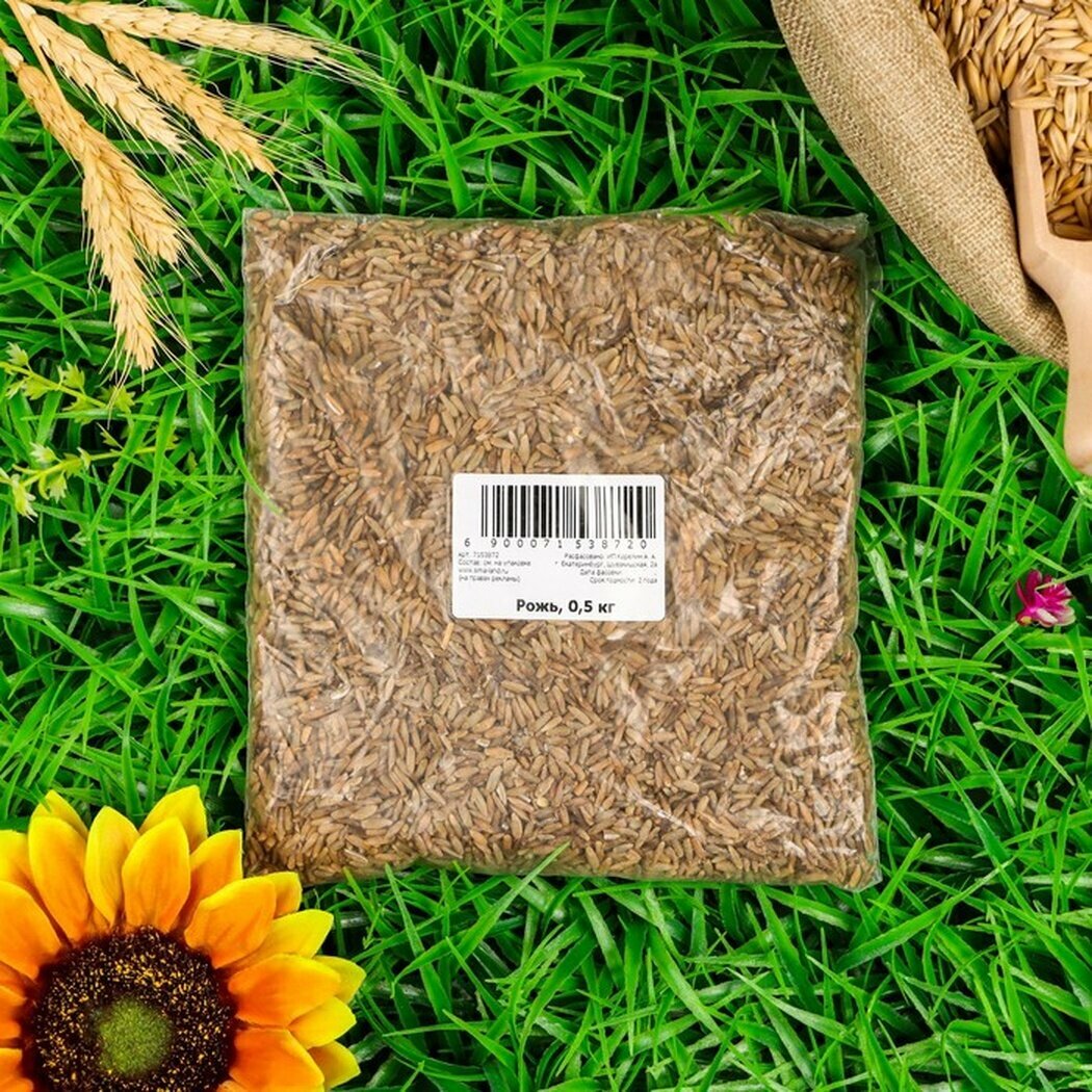 Семена Мой Выбор Рожь, сидерат, вес 0,5 кг, пластиковый пакет