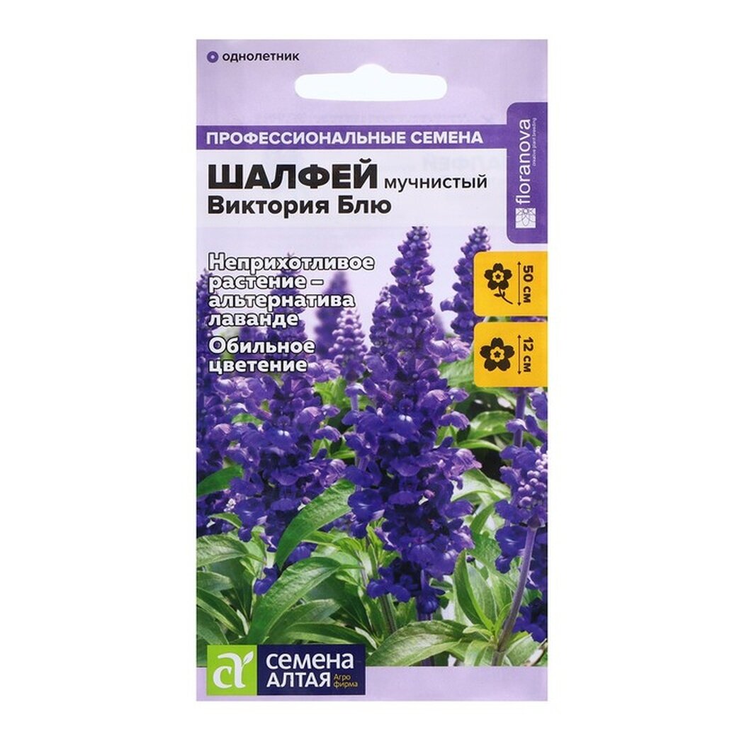 Семена шалфея "Виктория Блю" Семена Алтая, многолетние, 10 шт