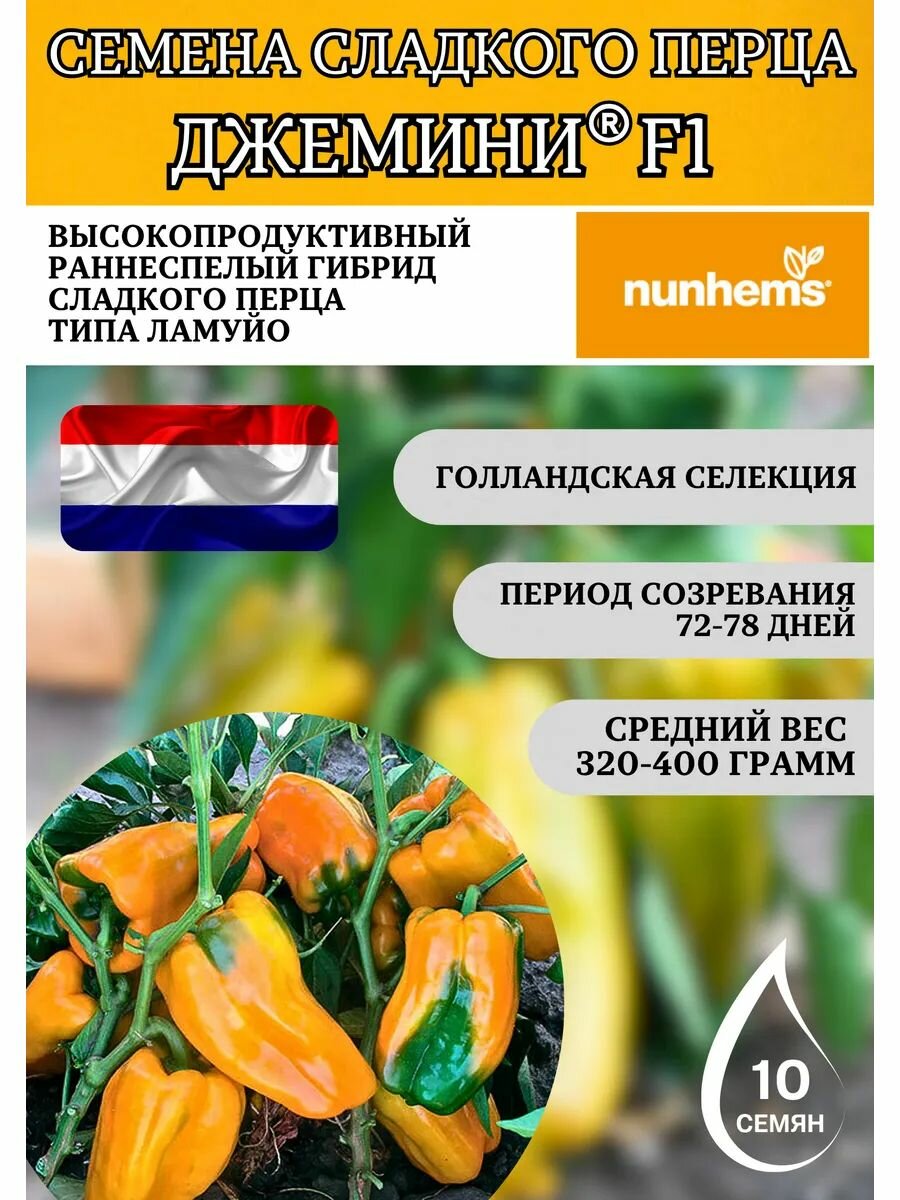 Семена перца сладкого Джемини F1 Nunhems 10 штук, профессиональные семена