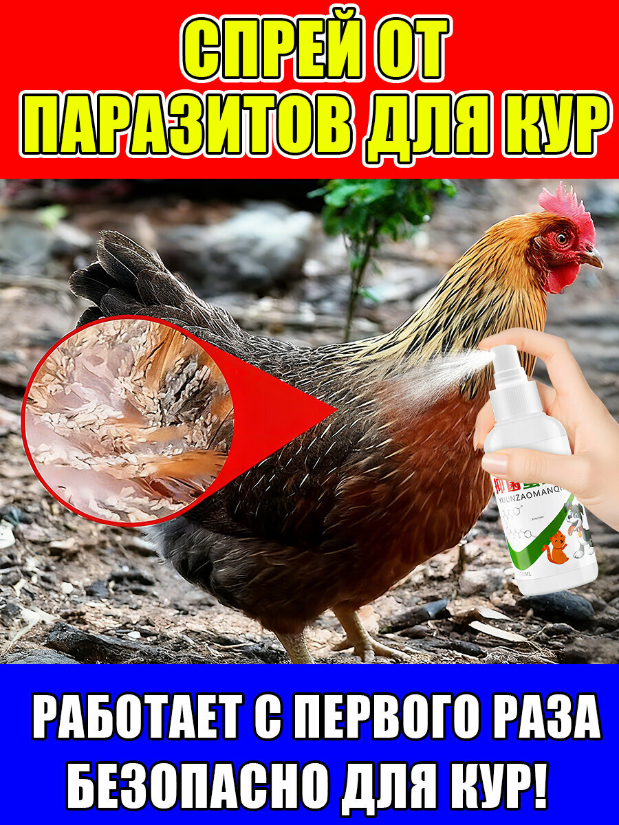Спрей для кур от пероедов и блох