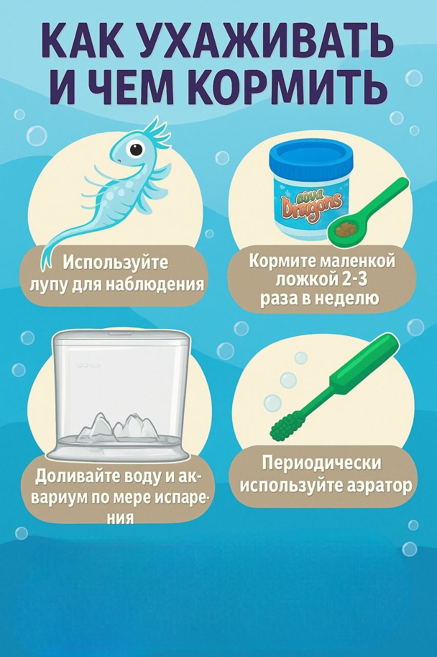 Набор Aqua Dragons мини-аквариум — фото 1