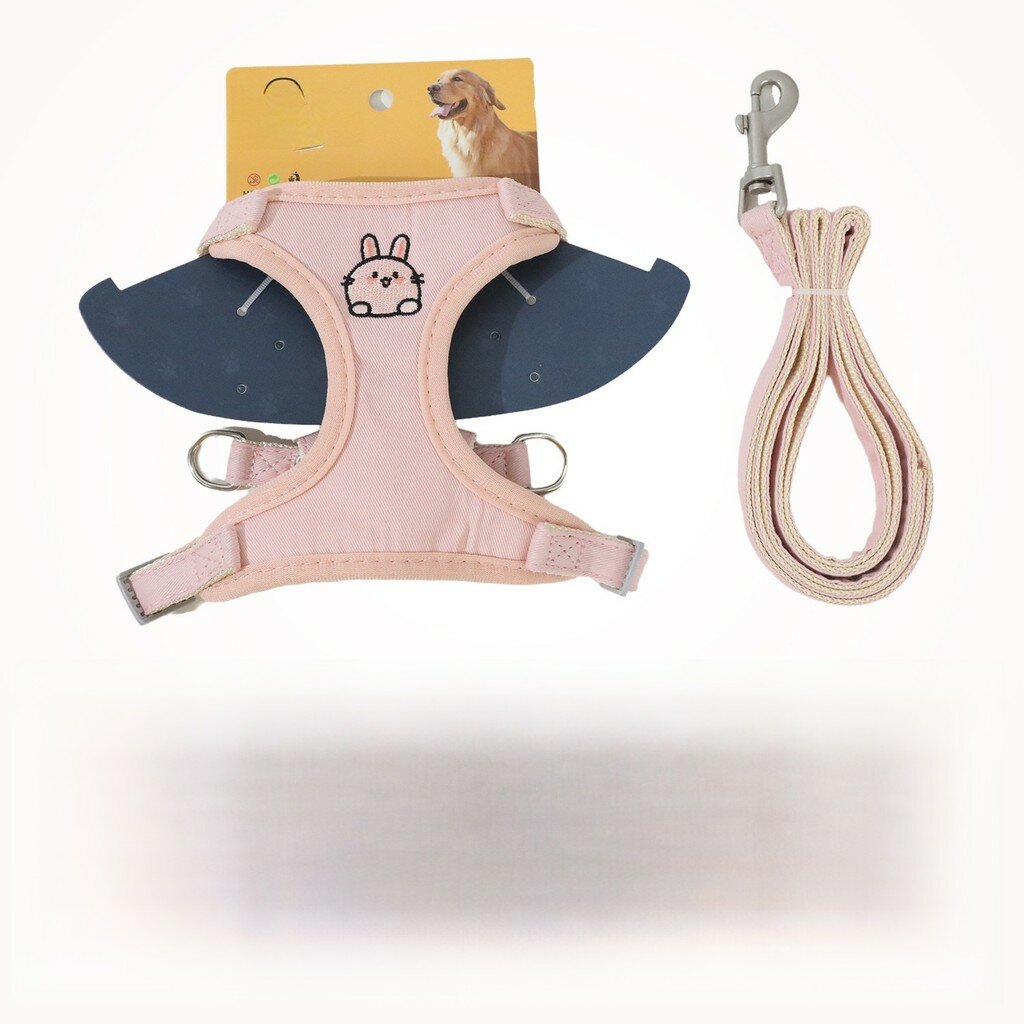 Nylon leash for pet with dog harness for outdoor recreation and training