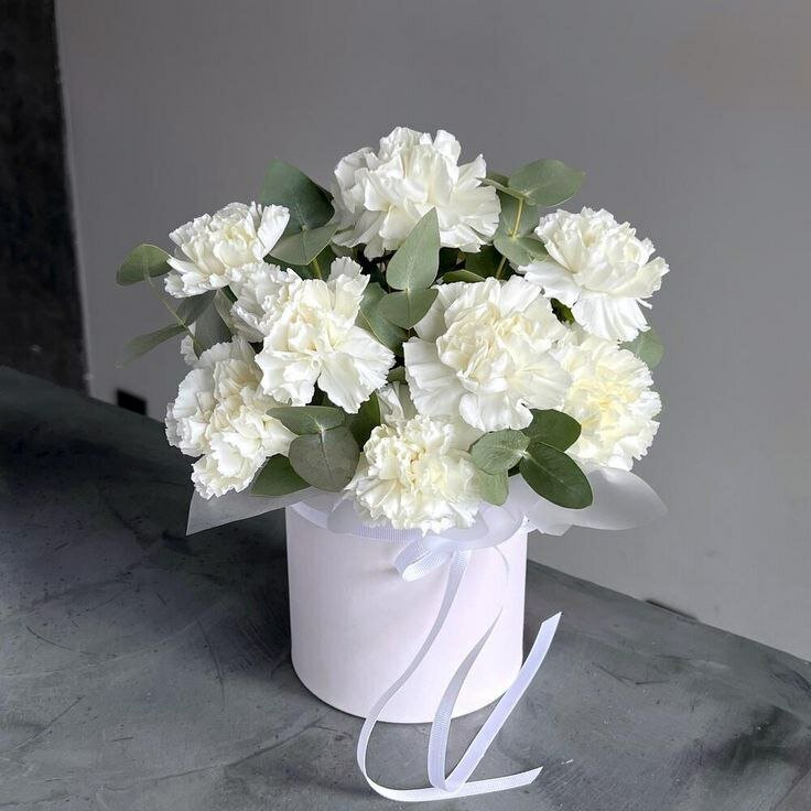 Композиция "Звёздный Путь" от Магазина "Долина Ситтим", гвоздика белая и эвкалипт, высота 25 см, белая коробка