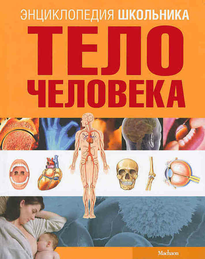 Тело человека