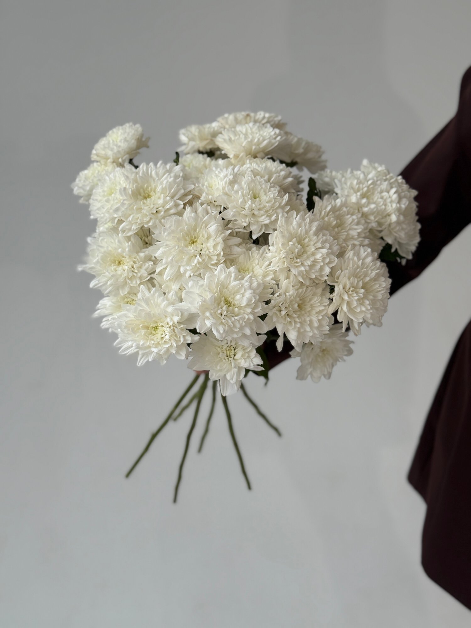 Монобукет из белых хризантем под ленту