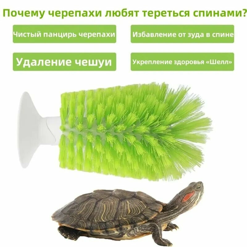 Зелёная Щетка для Чистки Панциря Черепах с Присоской - Деликатный Уход за Спиной Аквариумных Черепах