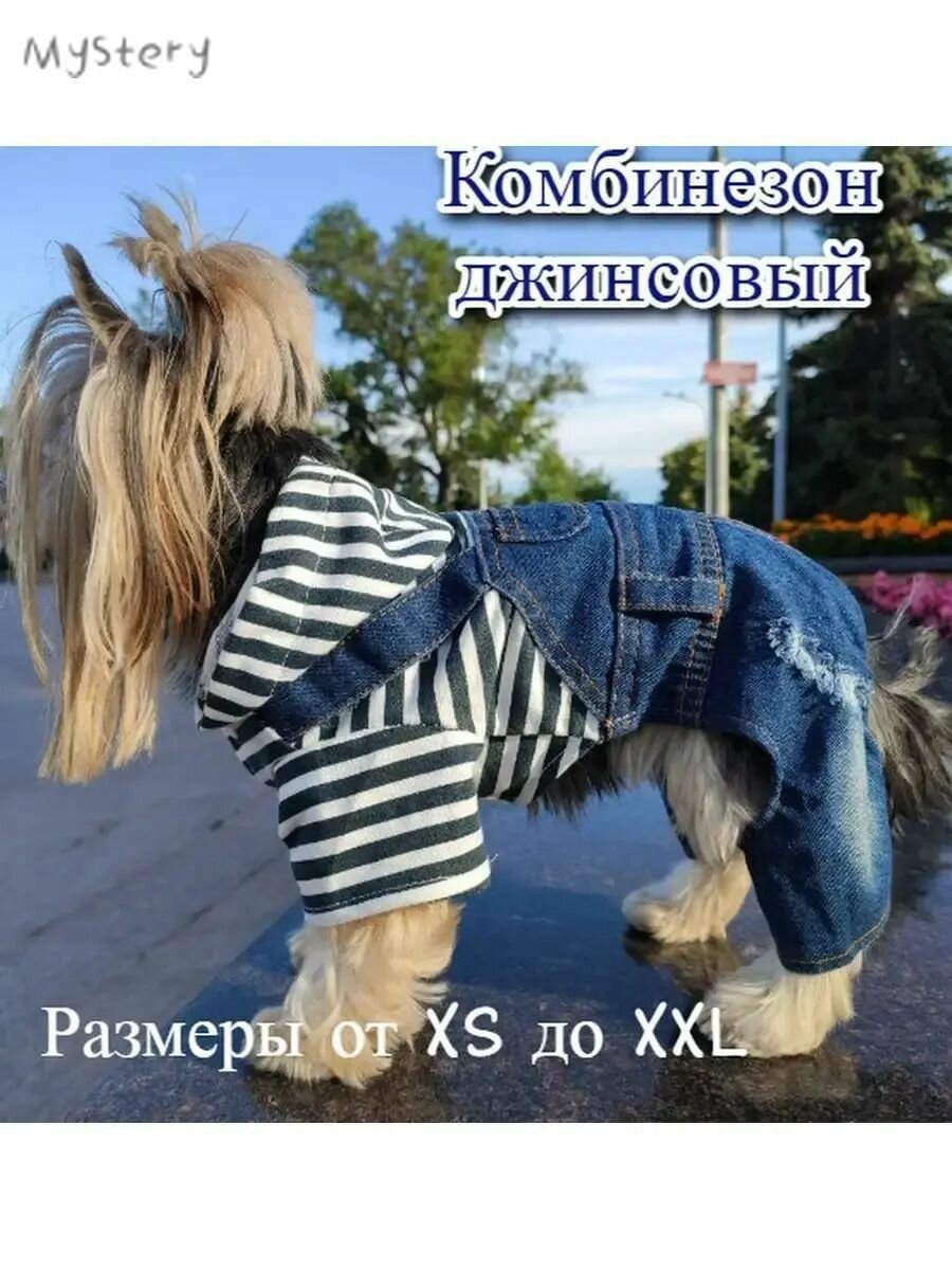 Одежда для животных — фото 1
