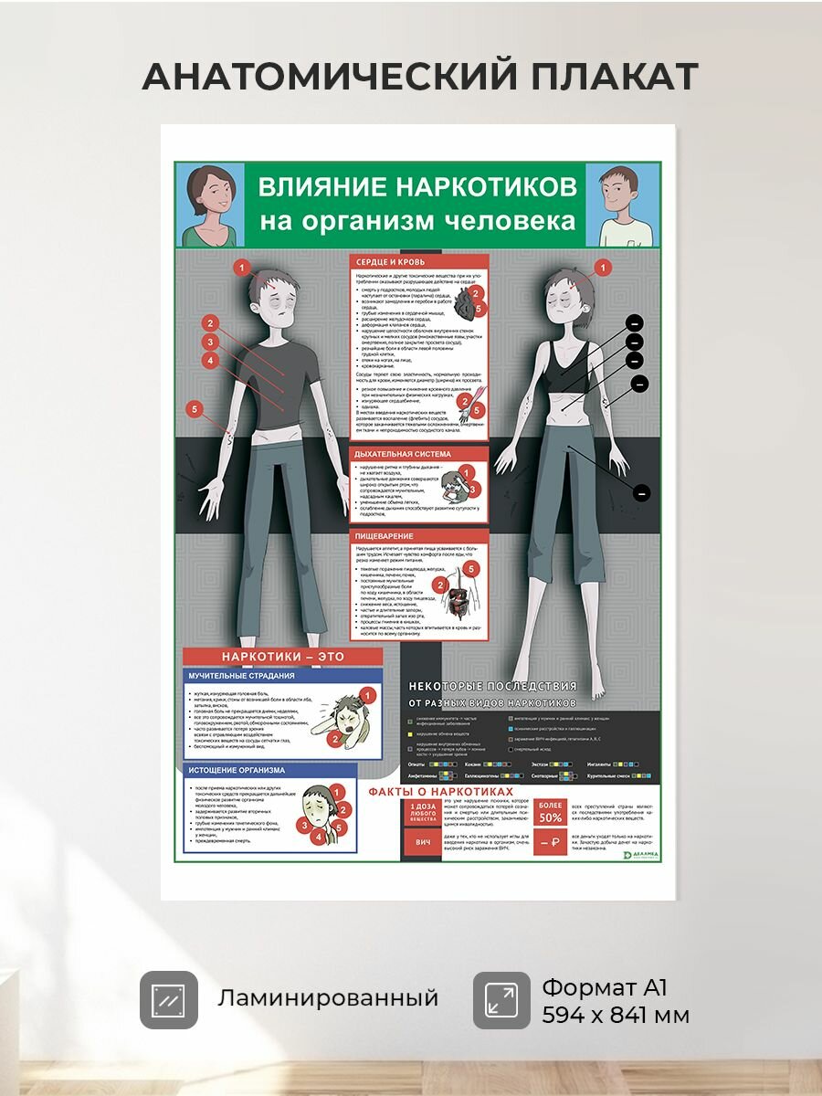 Обучающий медицинский плакат ламинированный формат А1 Вред наркотиков