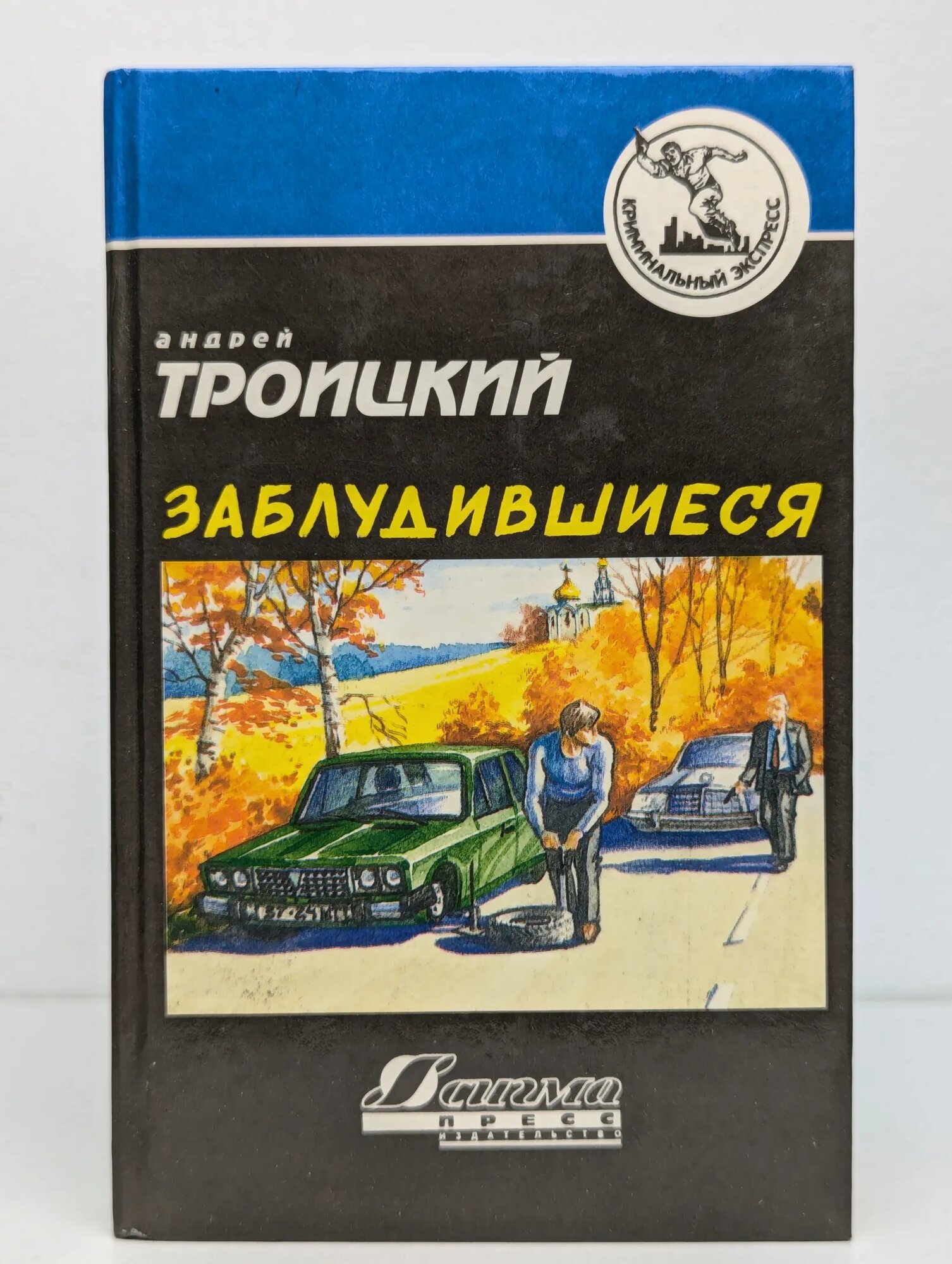 Заблудившиеся Троицкий Андрей Борисович 1994