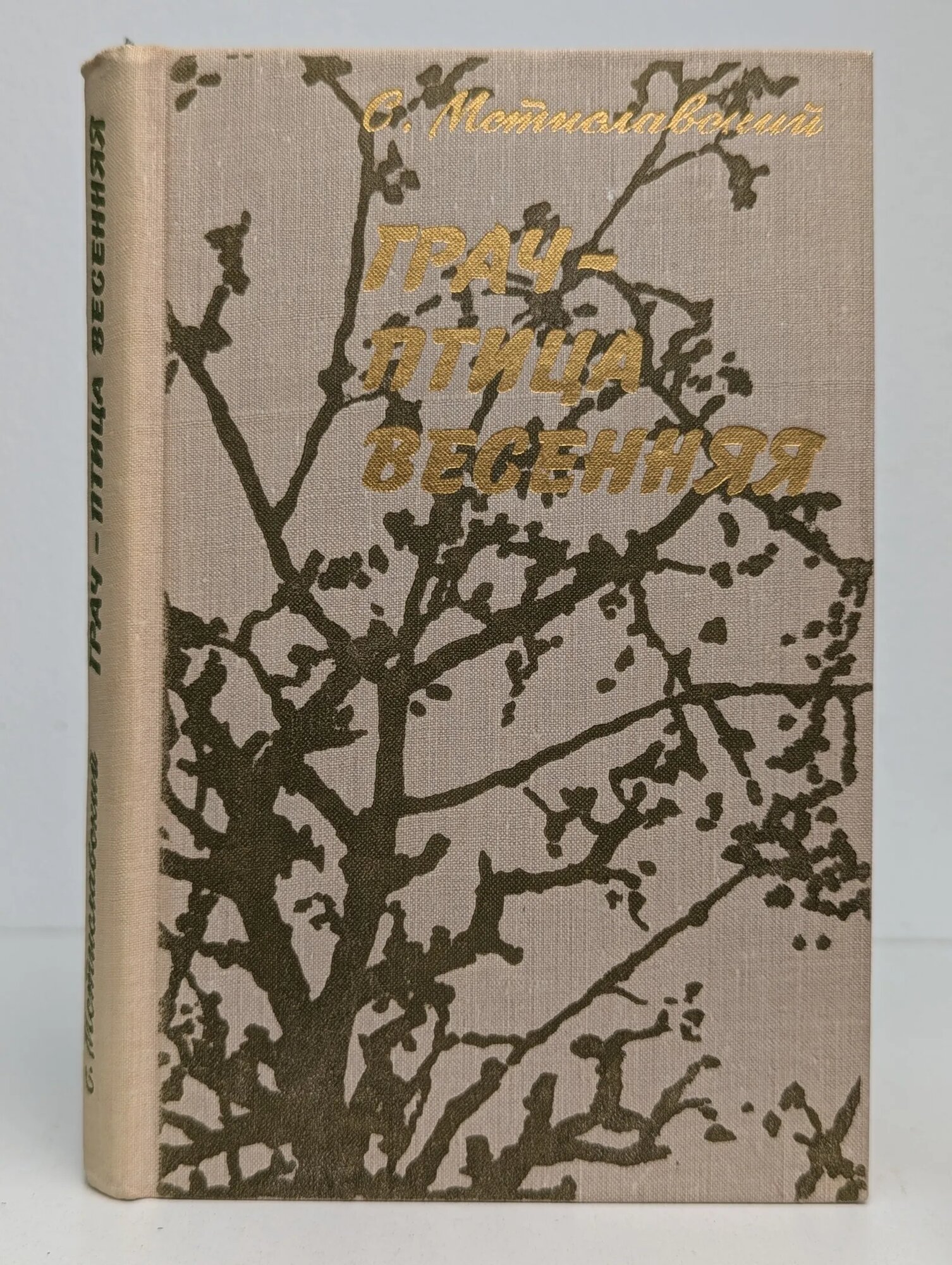 Грач - птица весенняя Мстиславский Сергей Дмитриевич 1977