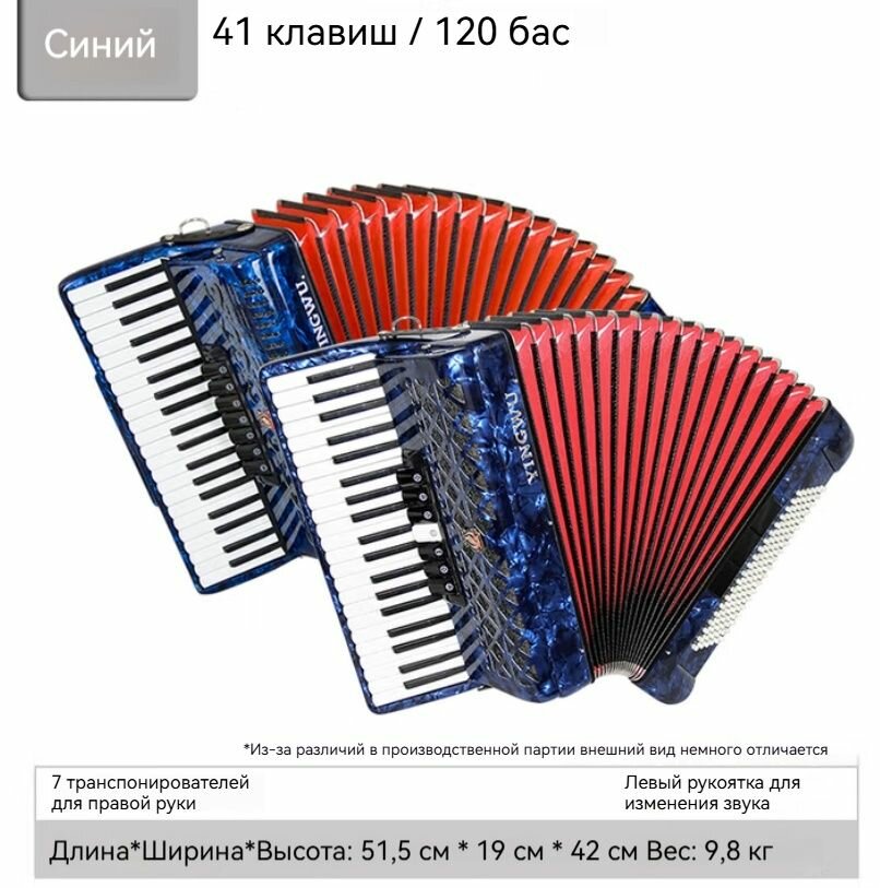 Клавишный аккордеон 41 клавиша 120 басов с трехрядной пружиной для взрослых, экзамен для начинающих, профессиональный игровой инструмент-синий (трехрядная пружина)