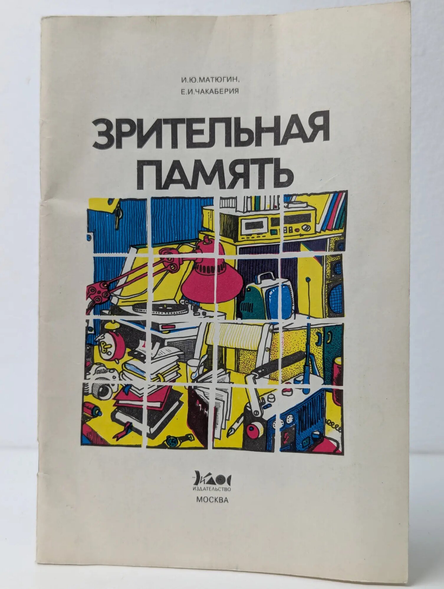 Зрительная память Матюгин Игорь Юрьевич, Чакаберия Елена Исаковна 1993