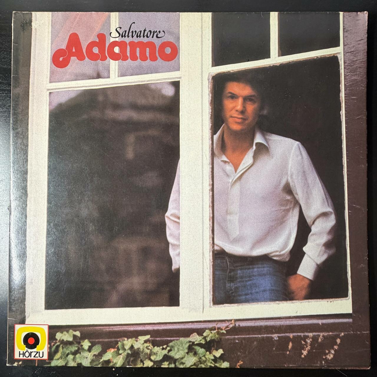 Виниловая пластинка Salvatore Adamo Salvatore Adamo (Германия)