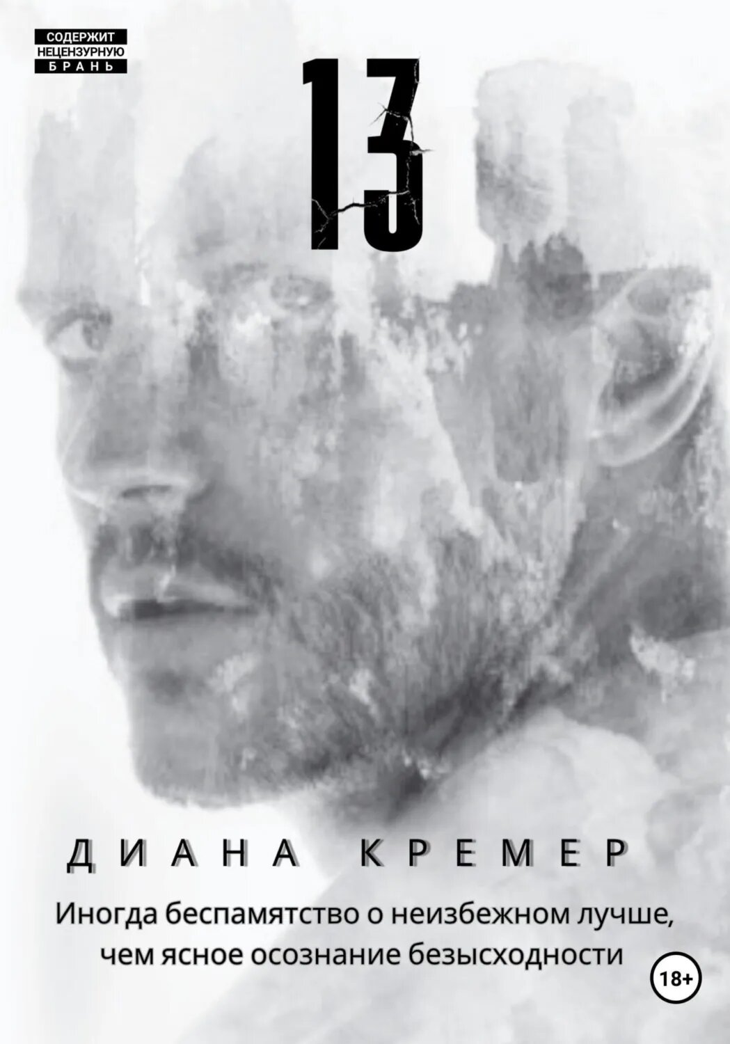 13 [Цифровая книга]