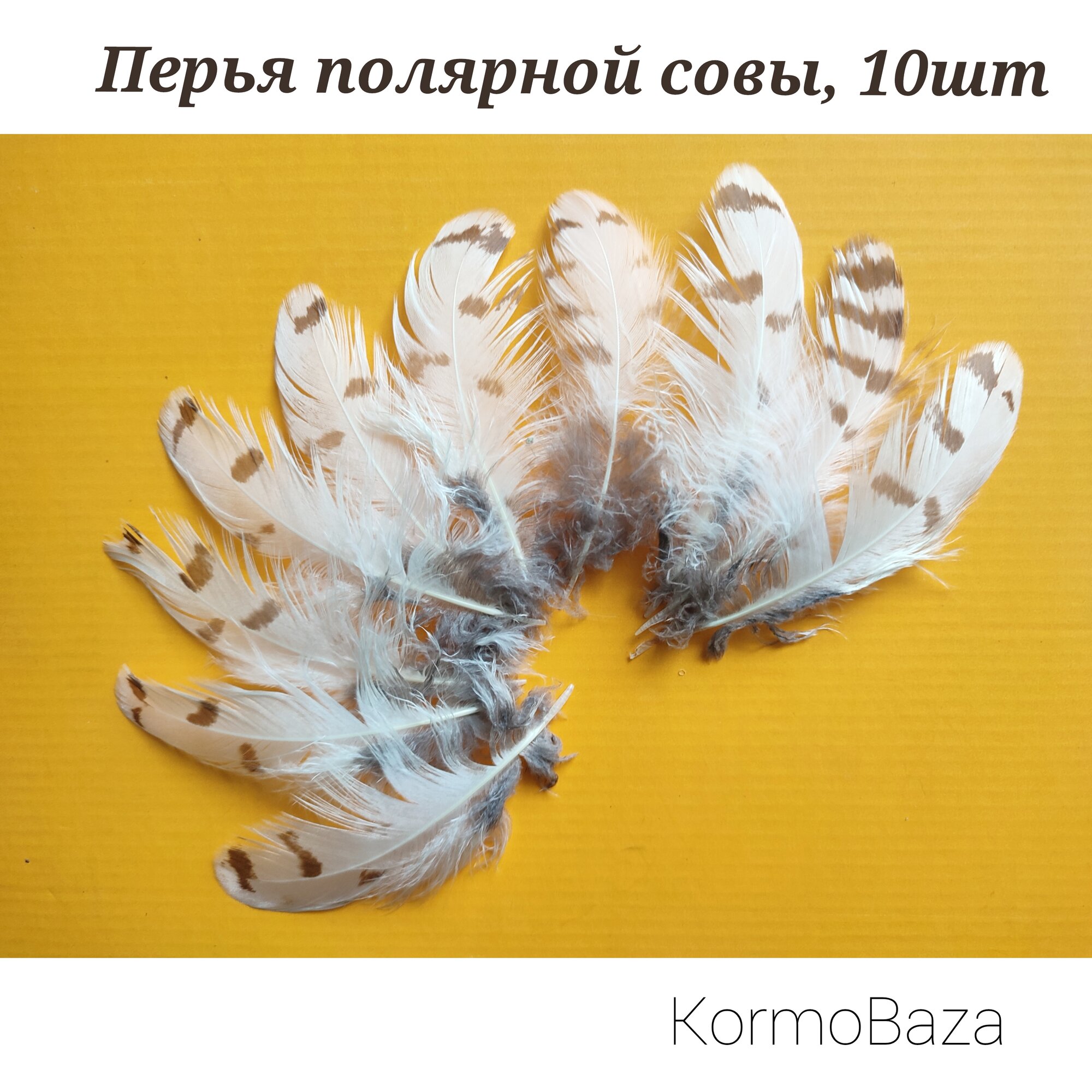 Перья полярной совы, 10шт. Натуральные перья