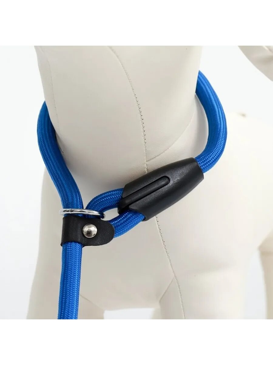 Стильная синяя ринговка для собак