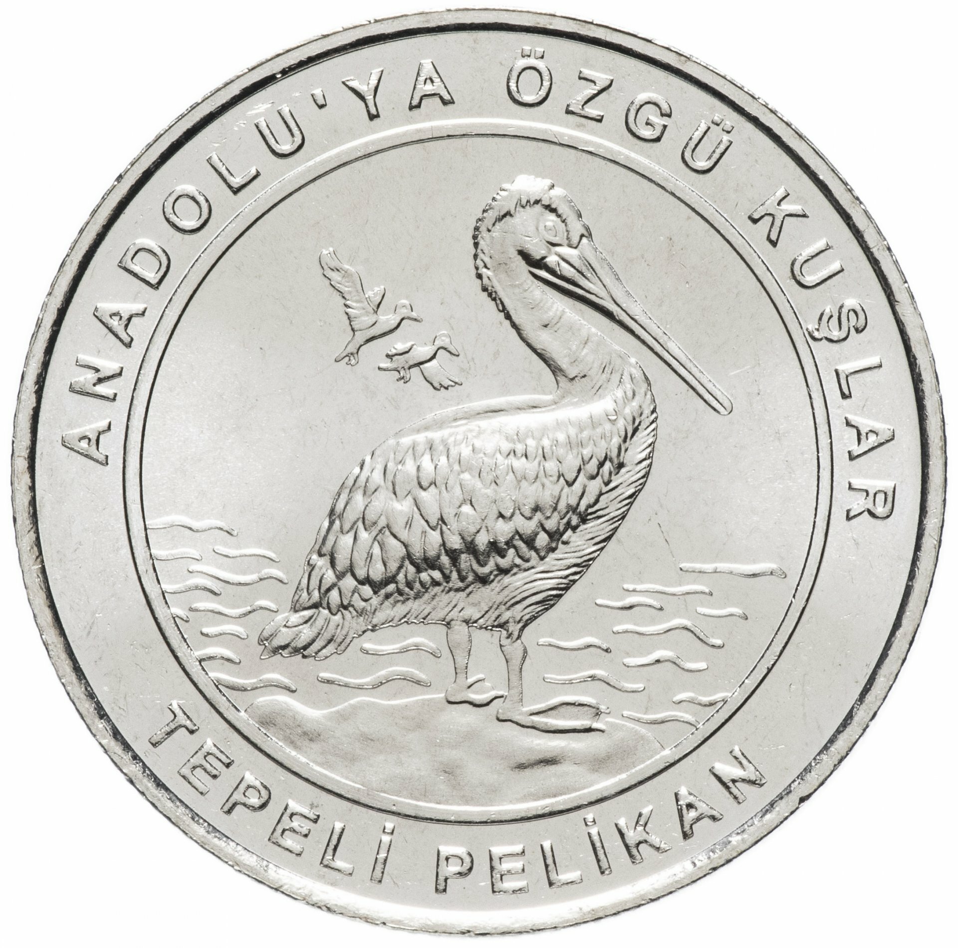 Турция 1 куруш, 2018 "Кудрявый пеликан" Серия "Птицы Анатолии", Медь, в сохранности UNC