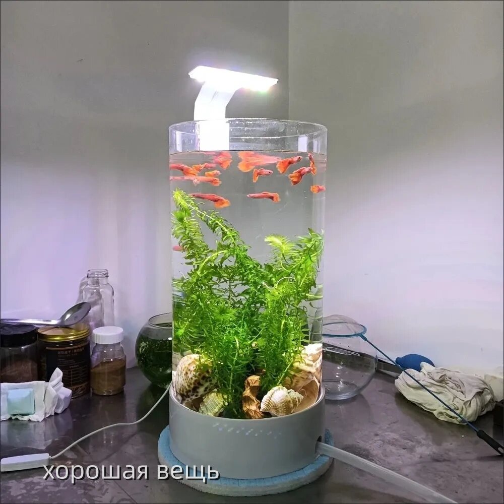 Стеклянный аквариум цилиндр для создания акваскейпа. Аквариум с растениями для петушков, гуппи и других мелких рыбок. Прочный стеклянный корпус, настольный.