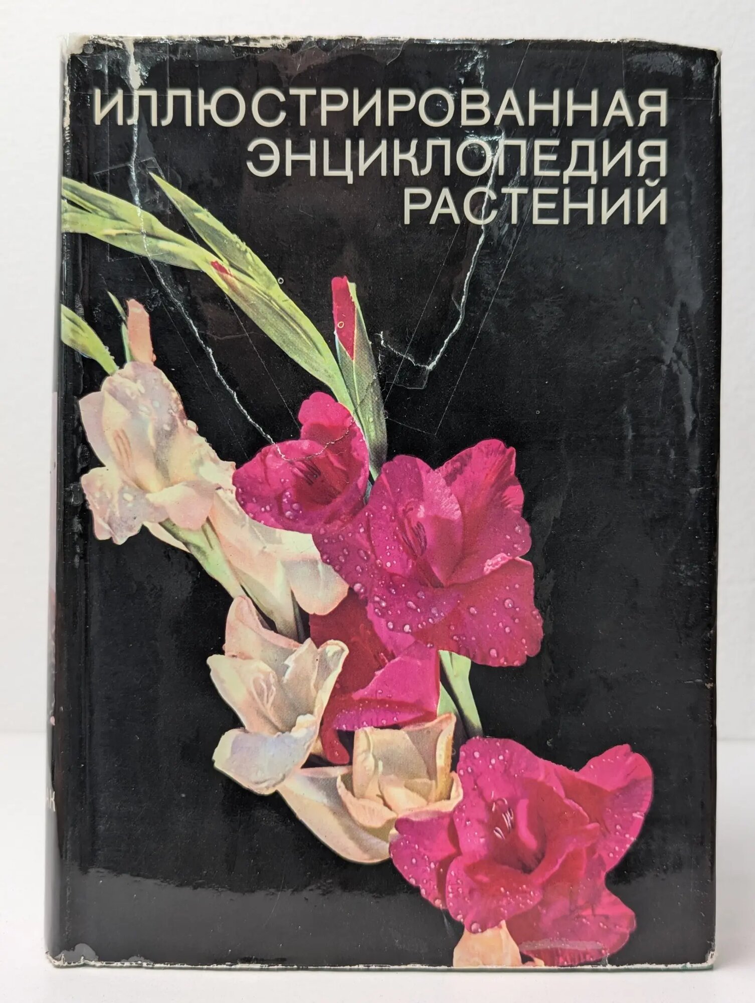 Иллюстрированная энциклопедия растений Новак Ф. А. 1976