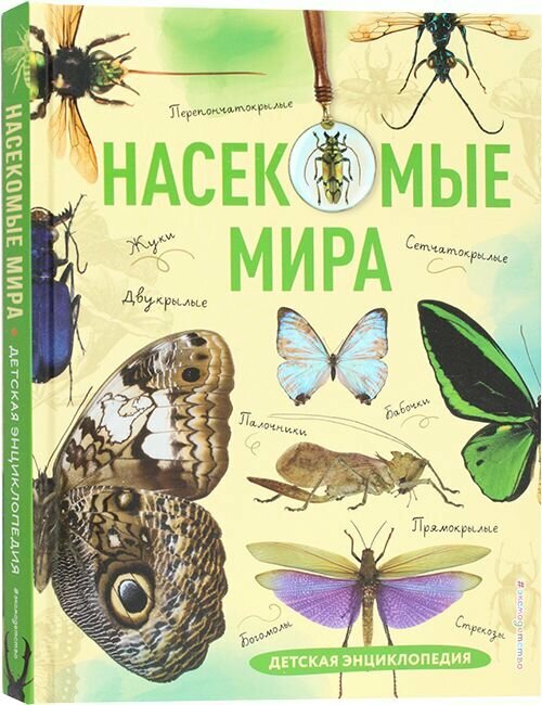 Насекомые мира. Детская энциклопедия. Эксмо, Москва