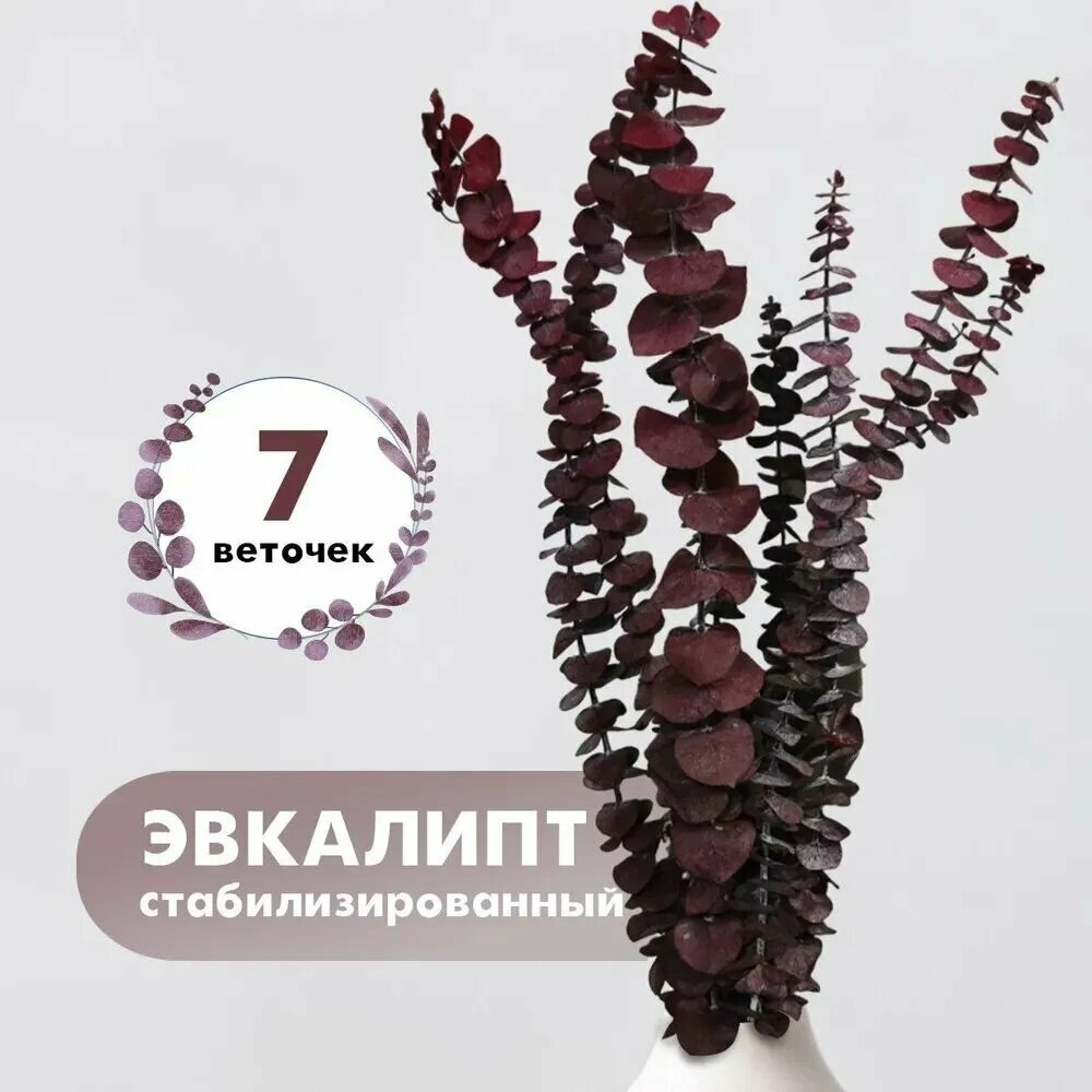 Сухоцветы, 55 см, 150 гр