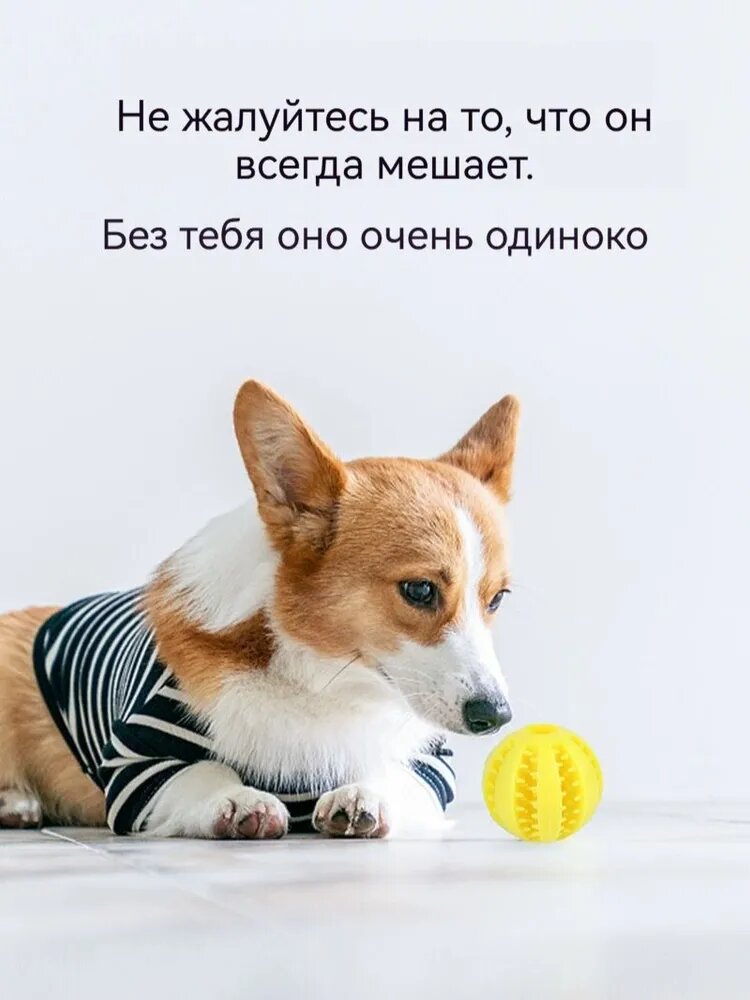Игрушечный пес жует шарики, диаметром 5 см, маленький резиновый шарик, гарантия качества, легко чистит зубы питомца.
