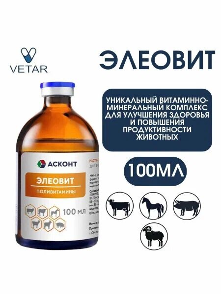 Элеовит асконт+, комплекс витаминов для всех видов животных, 100 мл — фото 1