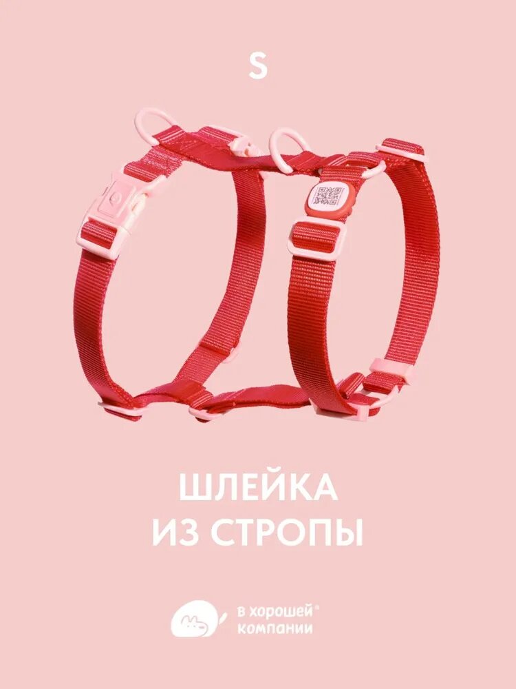 Анатомическая прогулочная шлейка с адресником из стропы для собак мелких пород IN GOOD COMPANY В хорошей компании (S / Настоящий красный)