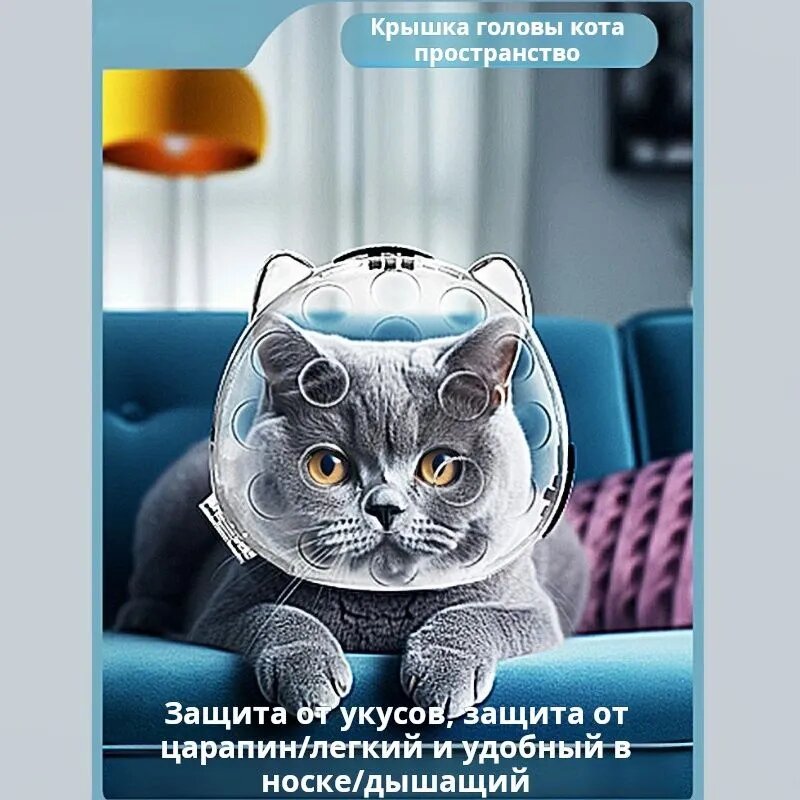 Шлем для кошки, изготовленный из материала ABS, прозрачного цвета.