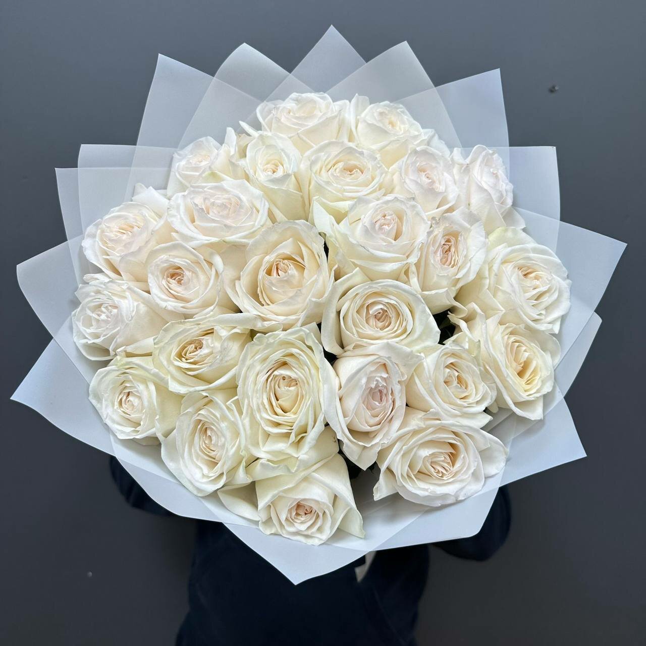 Букет 25 роз Вайт Охара / Белые розы 25 шт / Букет из белых роз