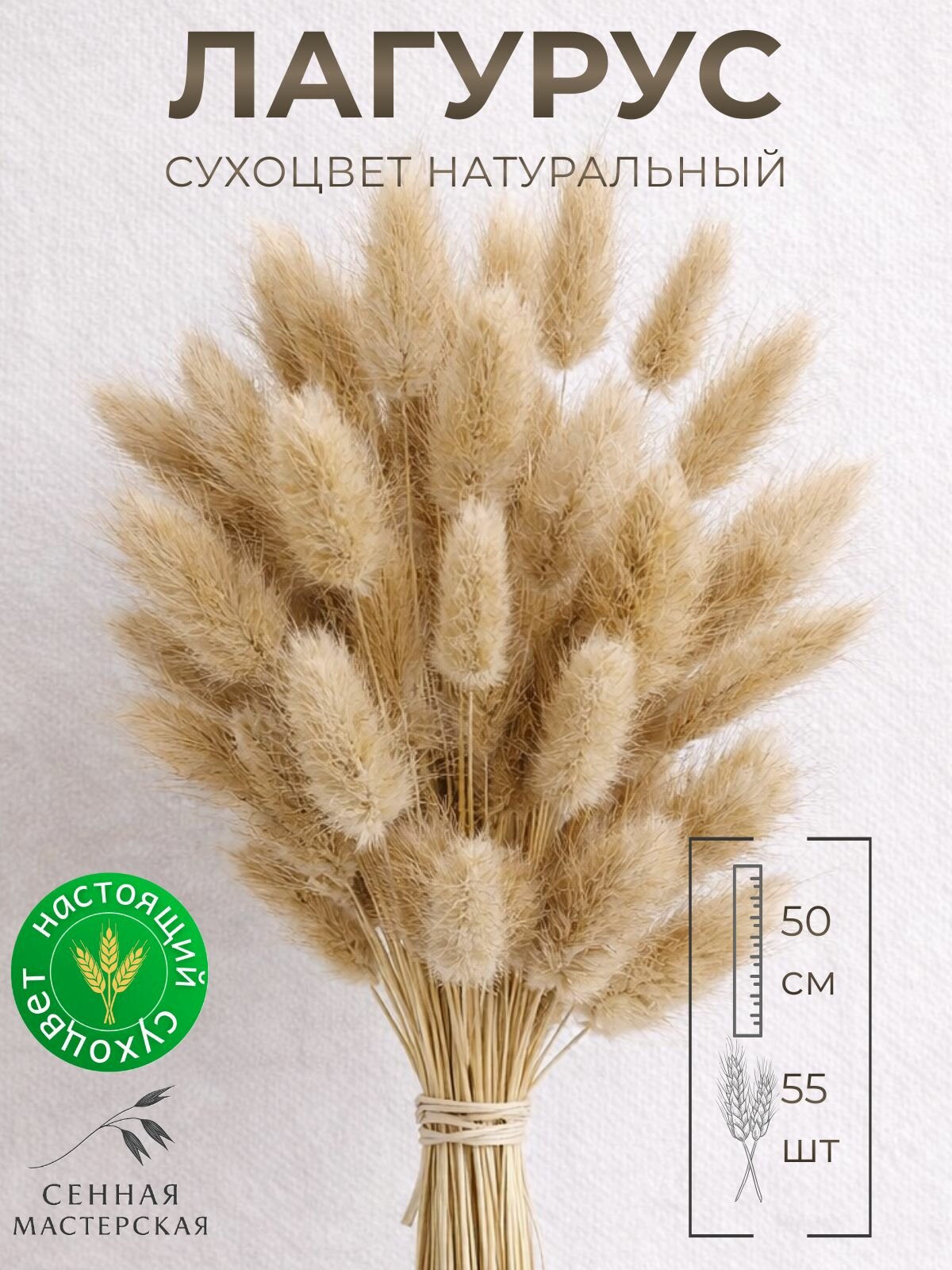 Лагурус сухоцветы для декора, букет из сухоцветов для интерьера, натуральный 50 см, 55 шт.