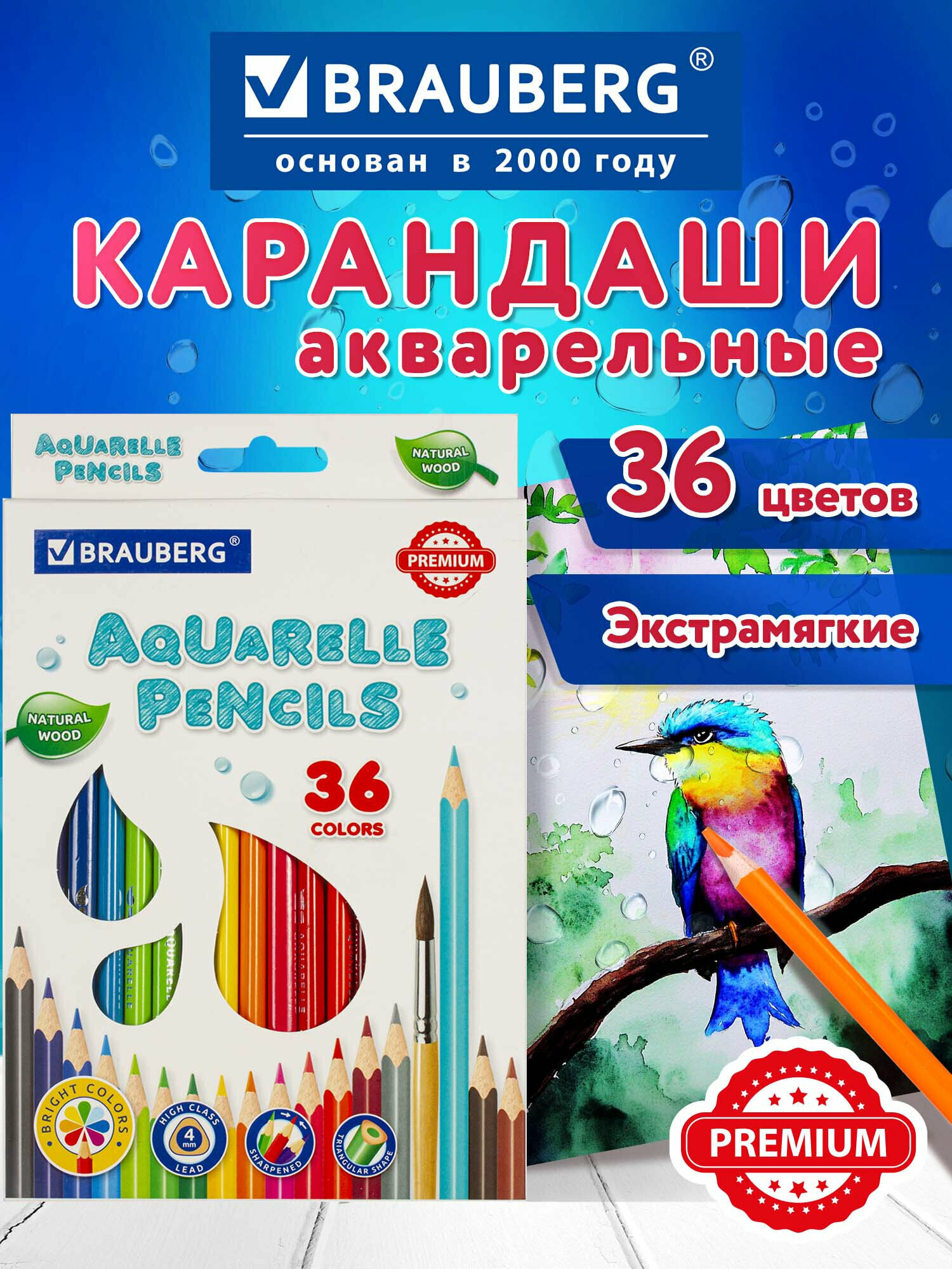 Карандаши цветные акварельные Brauberg Premium Aquarelle, 36 цветов, трехгранные, утолщенный грифель 4 мм, натуральное дерево, 181674