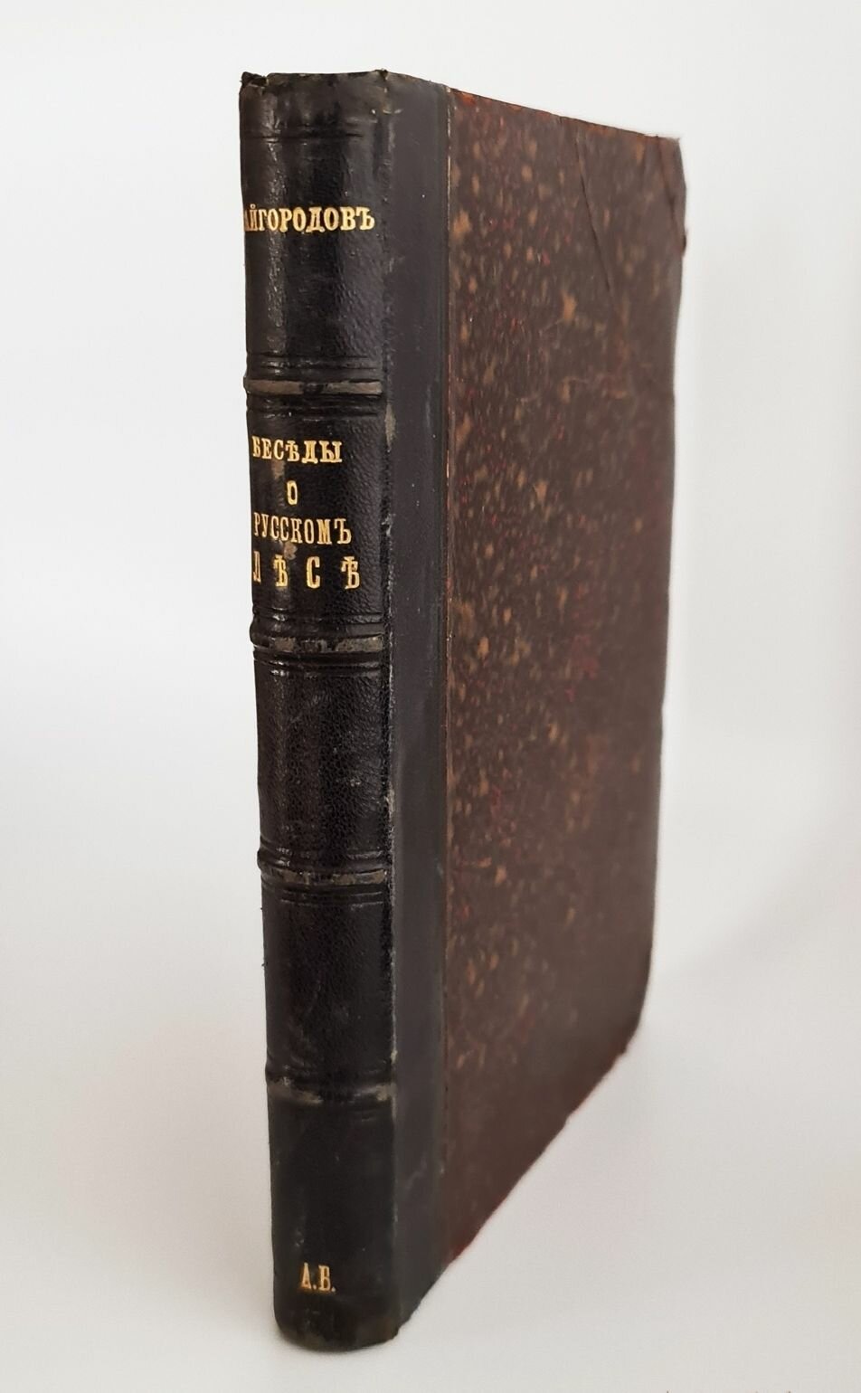 "Беседы о русском лесе". Д. Н. Кайгородов. 1885 г.