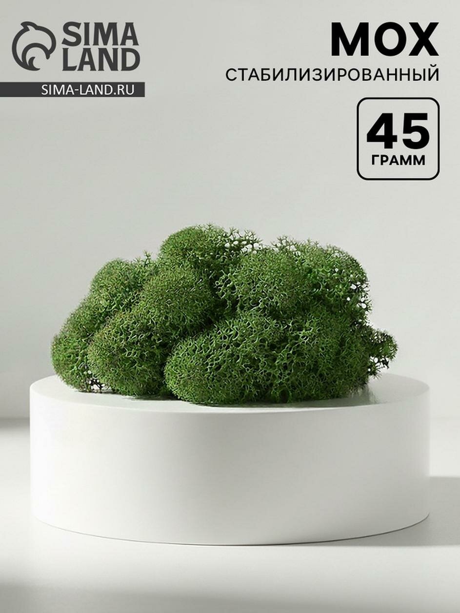 Мох стабилизированный AQUA STORY Дары Сибири «Салатовый» , 45 г (+-5 г).