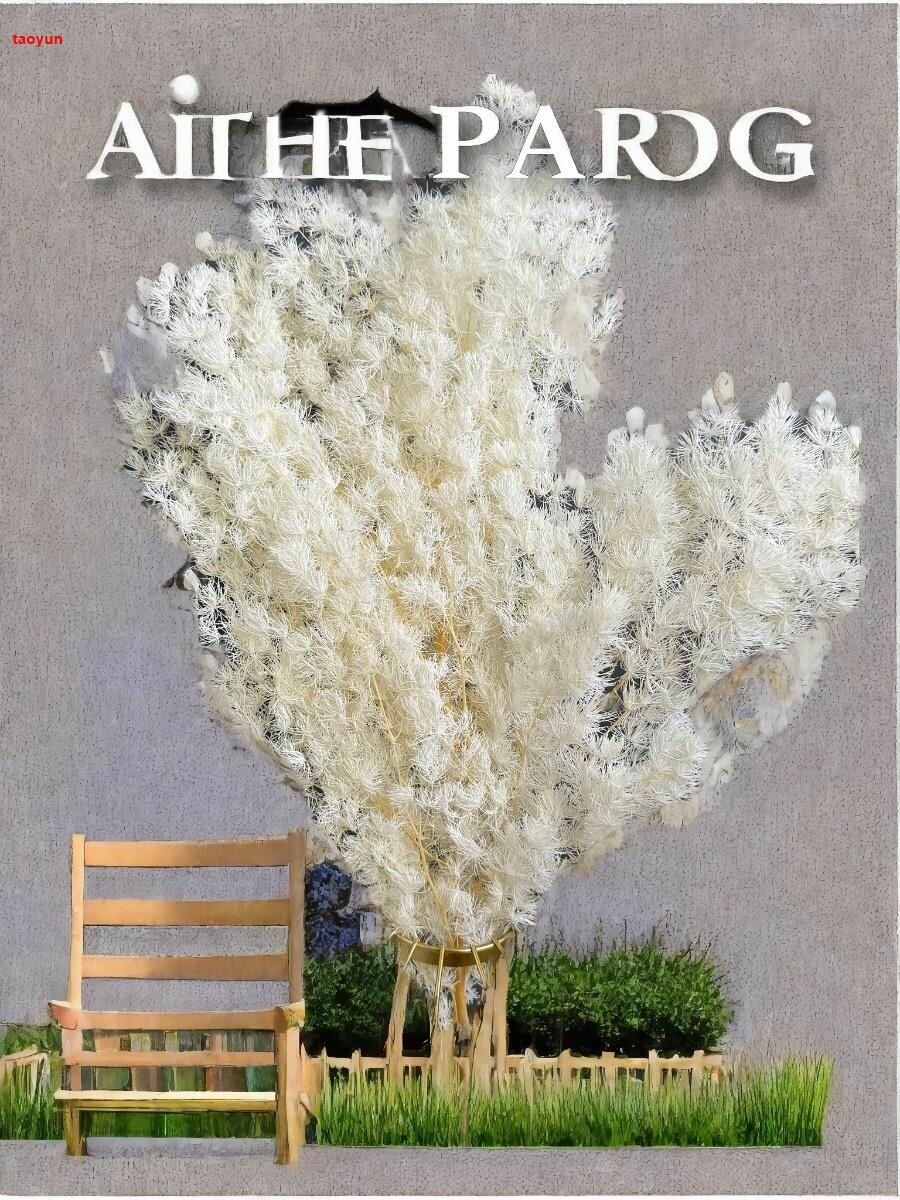 Стабилизированные цветы Аспарагус, 60 см, 85 гр, 1 шт